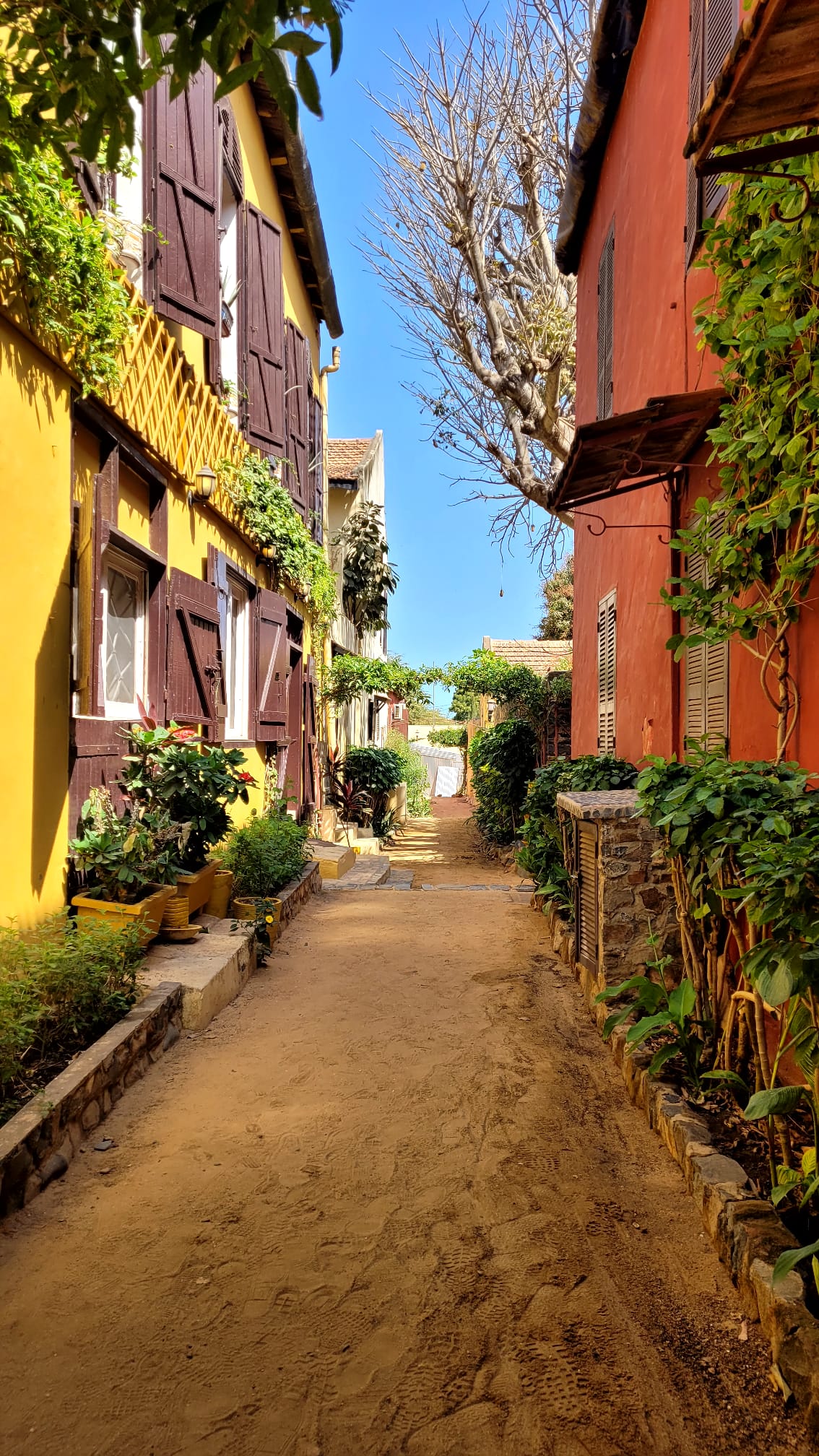 Gorée Island Day Trip (Senegal) - Gambia & Senegal Tours