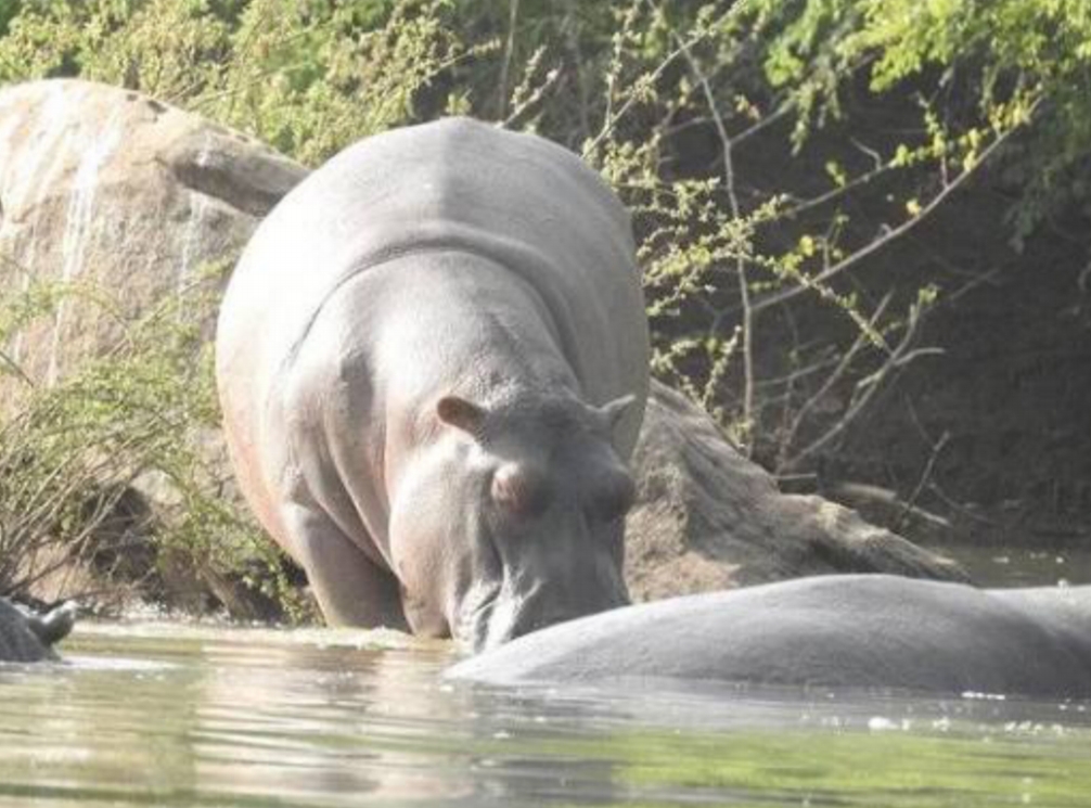 Georgetown - Gambia & Senegal Tours